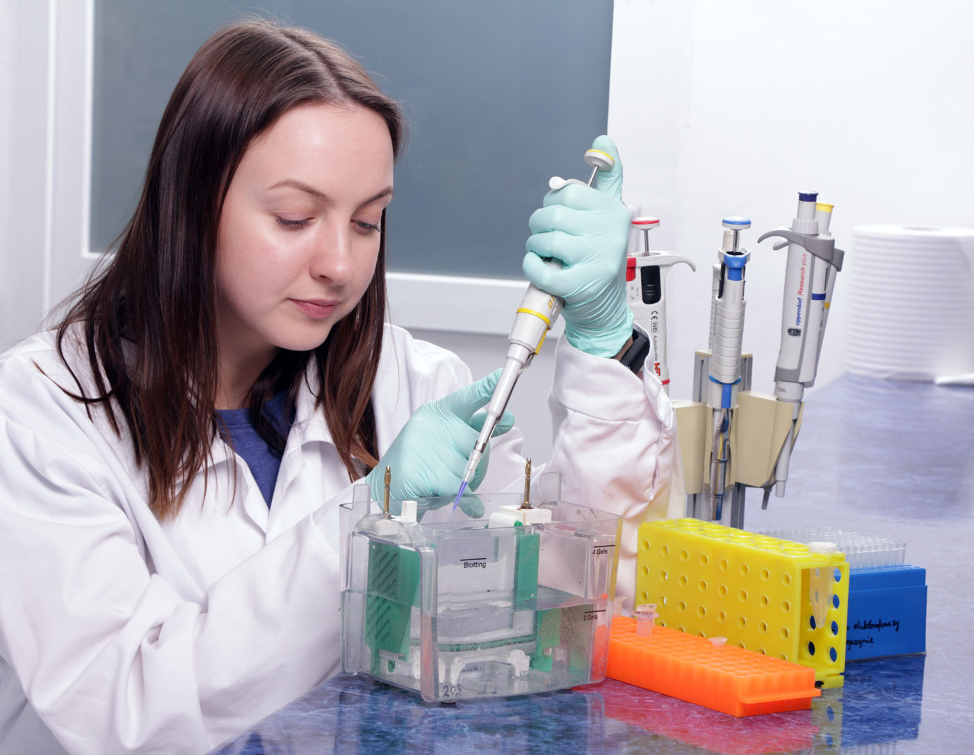 Laboratory of Microbiome Immunobiology - Hirszfeld Institute of ...